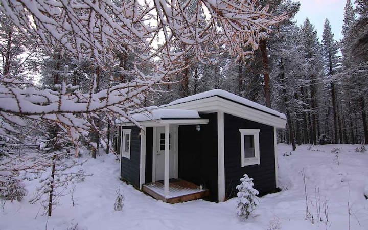 Arctic Island Big Suite - Kiruna