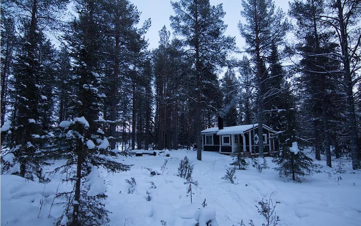 Arctic Island Small Suite - Kiruna