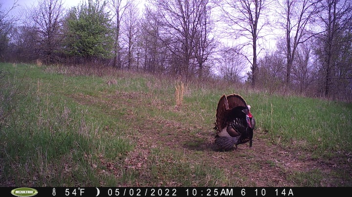 Rescued Wood Bunkhouse - Thousand Hills State Park, Kirksville