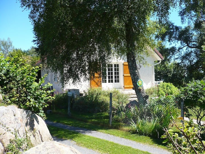 Gîte La Fougère - Montbrison