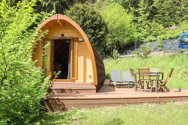 Pod Bleuet - Niederbronn-les-Bains