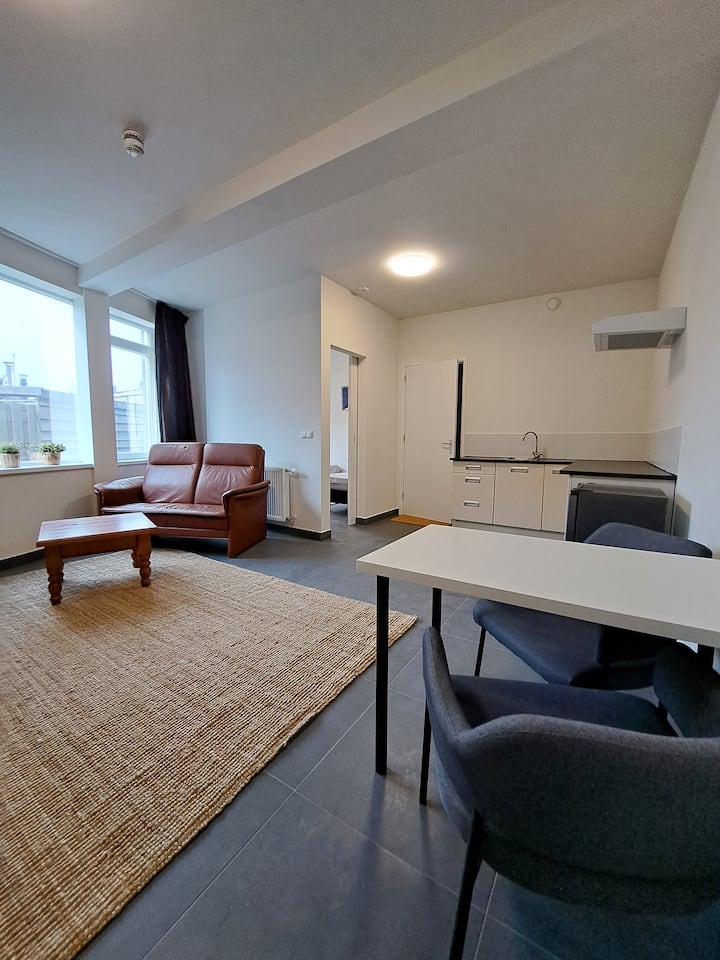 Apartment,20 M From Amsterdam ,3 - Zaandam