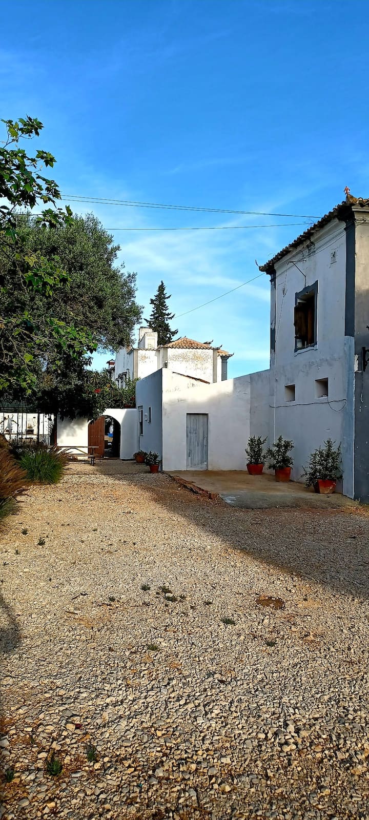 Quinta De Loubite | Jacanradá - Lagoa