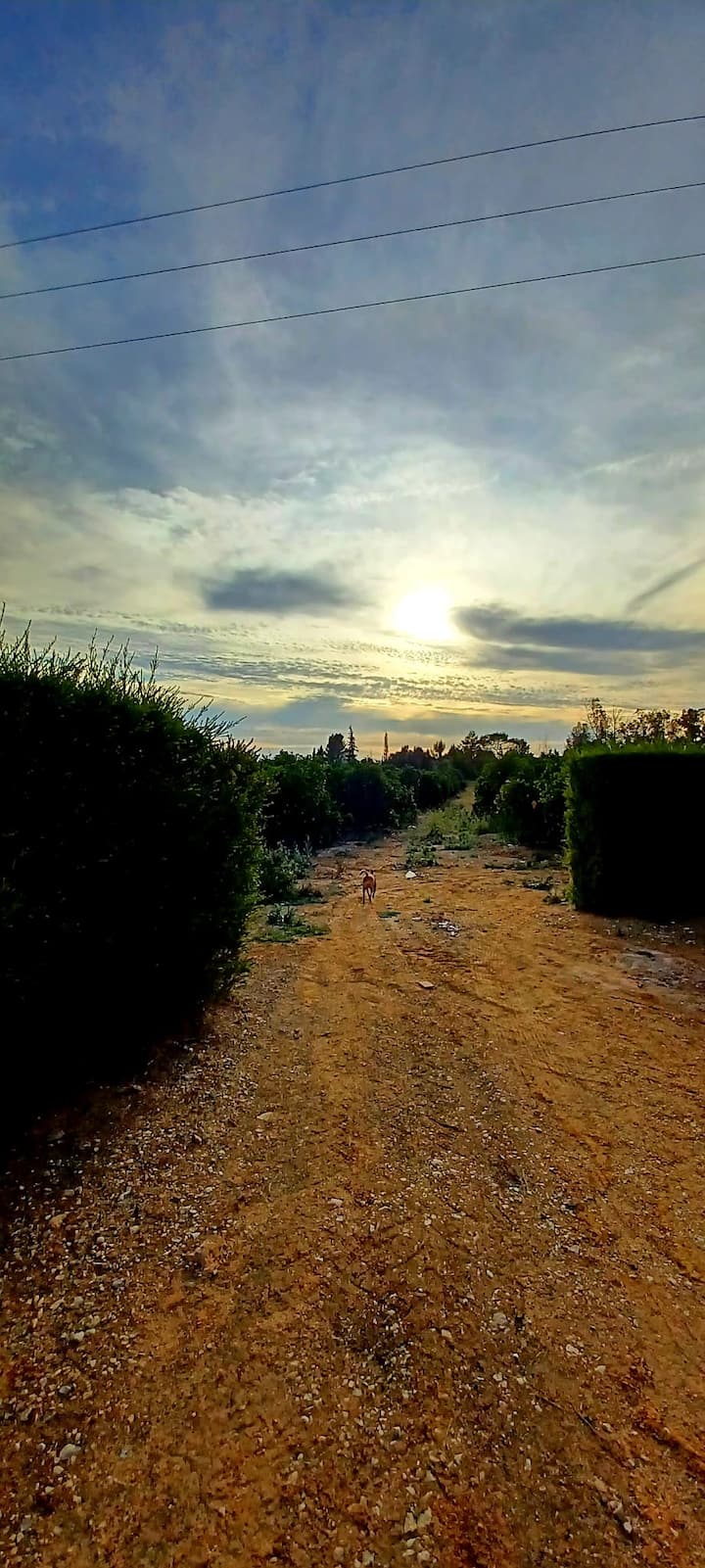 Quinta De Loubite | Laranjeiras By Sweethomes - Carvoeiro