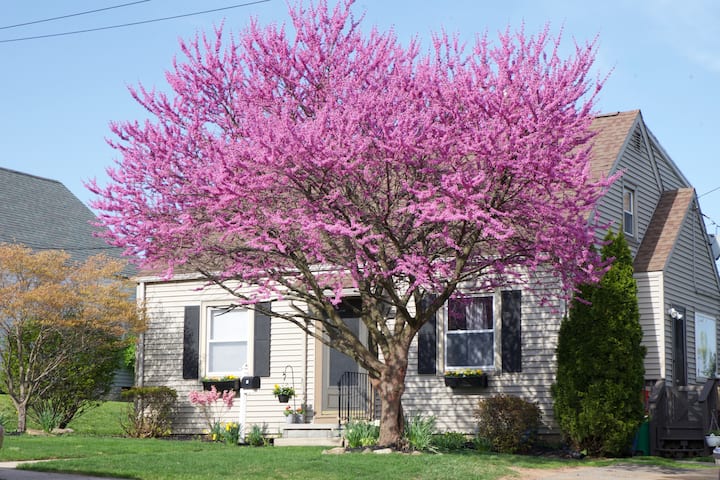 3br Near Hospitals & Major Route - Allentown