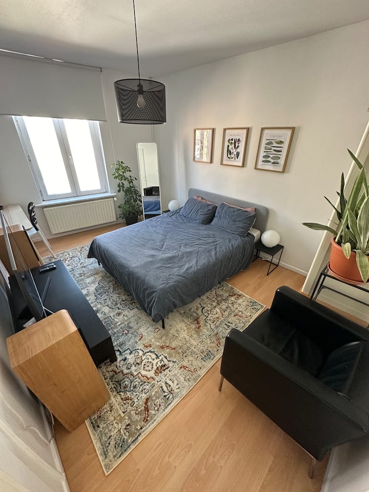 Spacious Room Near Citycentre - Ghent (Belgium)
