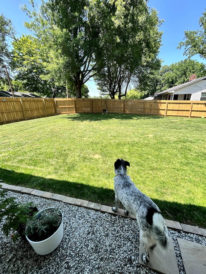 Fully Fenced Pet Friendly Home In Ardmore - Winston-Salem, NC