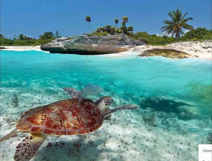 Playa, Sol, Arena, Paz Y Armonia - Akumal