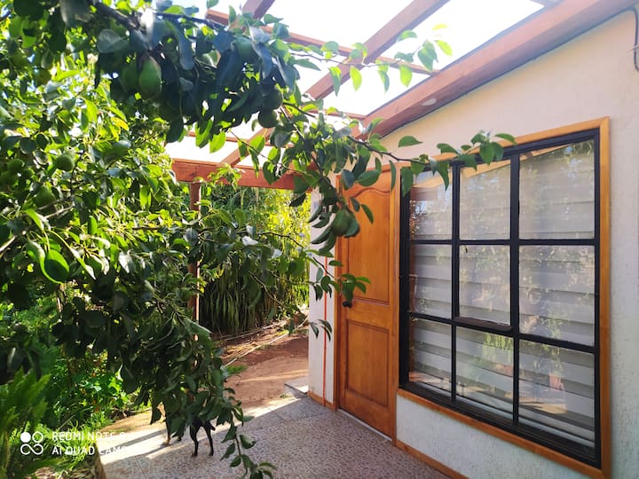 Casa En Entorno Natural. - Pichilemu