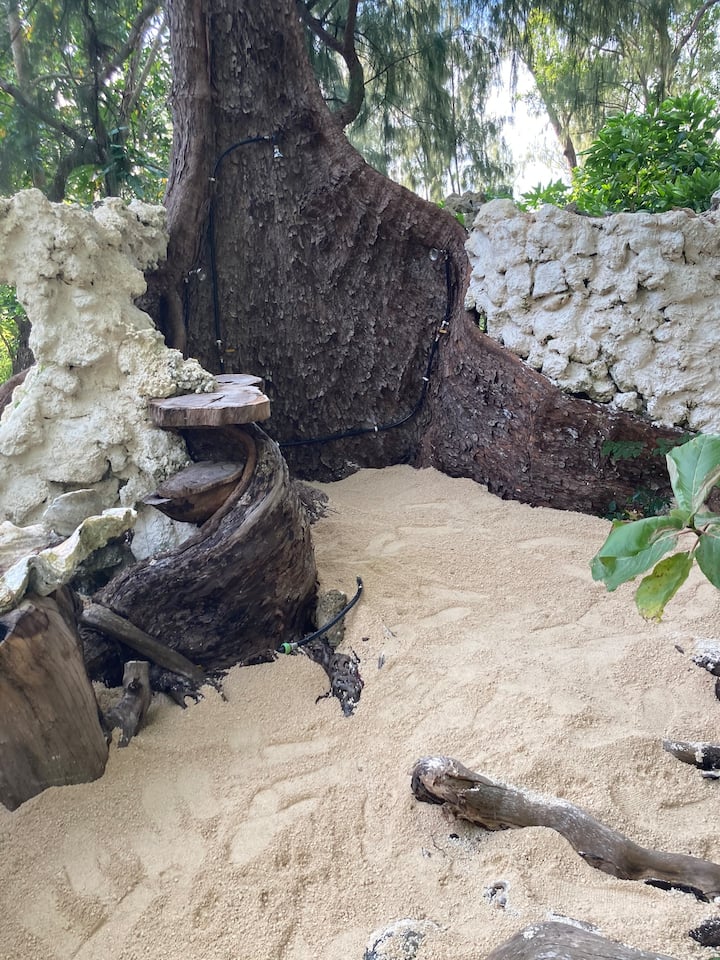 Shabba’s By The Sea - Vanuatu