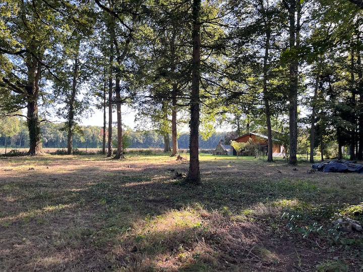 Ma Cabane Dans Les Bois - Manou
