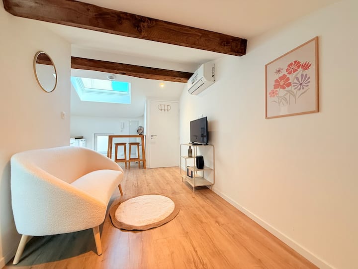 Rose - Appartement T1 Rénové - Agen