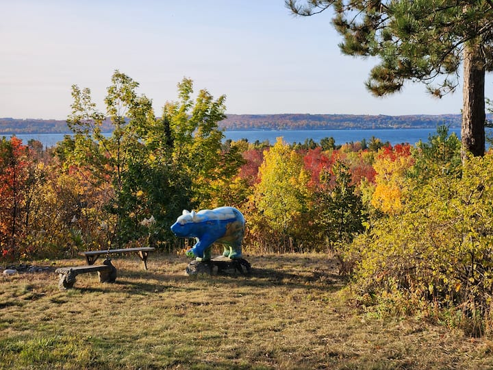 Newly Renovated-secluded - Harbor Springs, MI