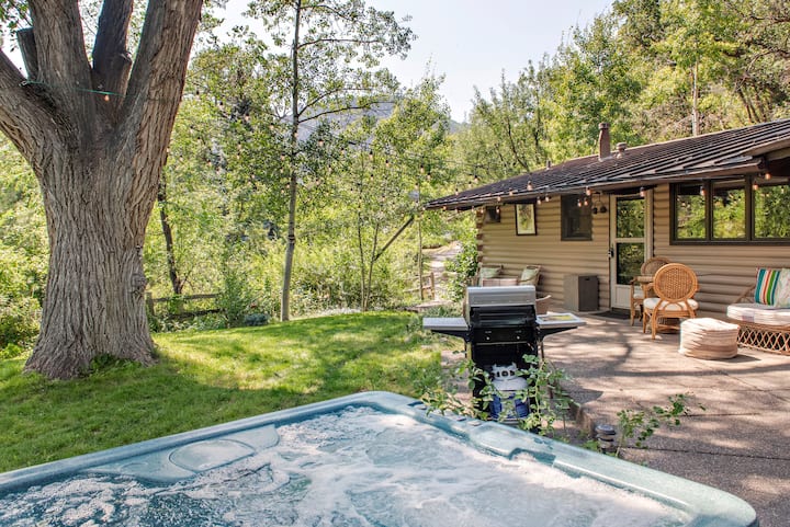 Million Dollar Creekside Treehouse Hottub/ski/raft - Glenwood Springs, CO