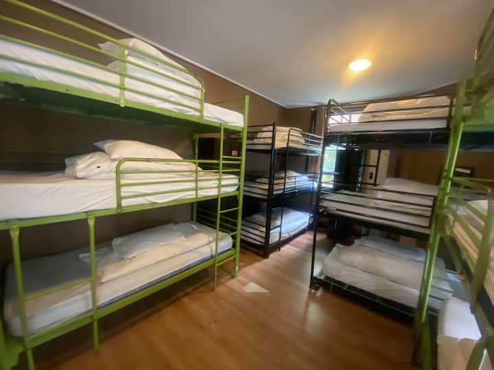 Bed In 15 Beds Mix Dorm @ The Phoenix Hostel - Londres
