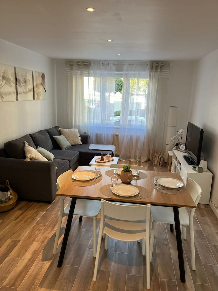 Appartement Cosy Mulhouse - Mulhouse