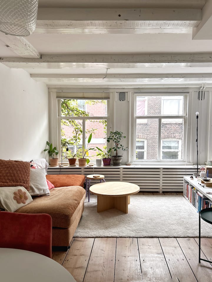 Historical Amsterdam Apartment - Amsterdam