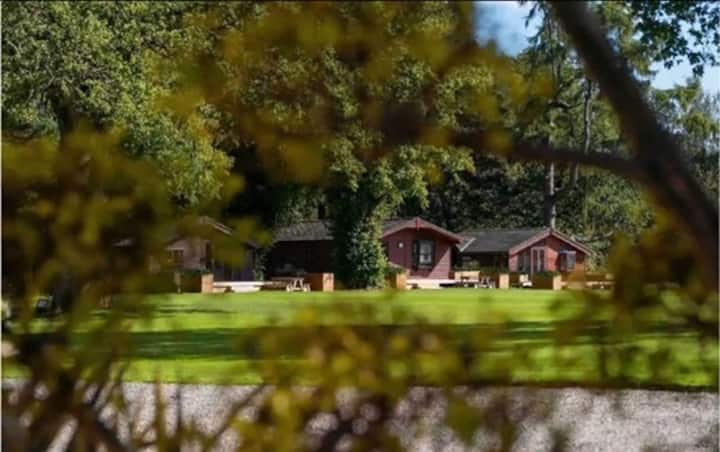 Woodland Lodge 6 Glenbervie House & Country Estate - Falkirk