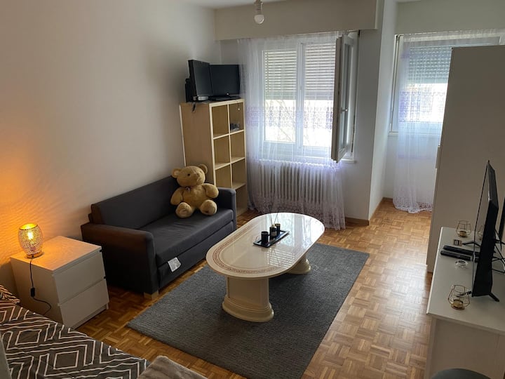 Studio Cosy Centré à Lausanne - Renens