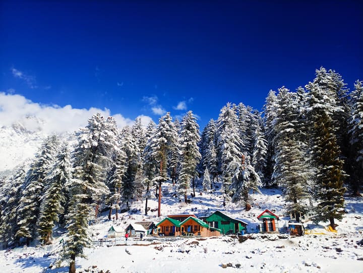 Private Cabin With Mountain View | Singing Woods - Tosh