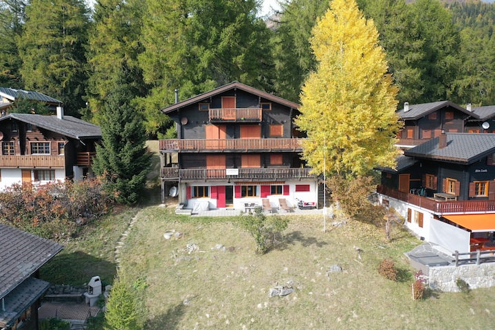 Ferienwohnung Am Hang 1. Og - Bettmeralp