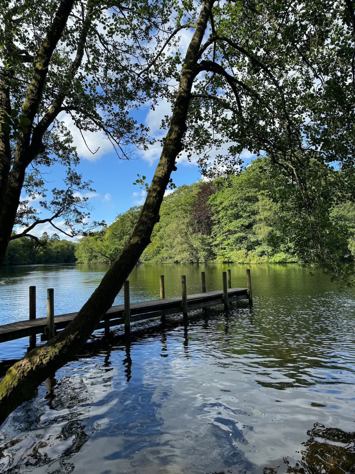 Cabin with bedroom and living room - Cabins for Rent in Silkeborg ...