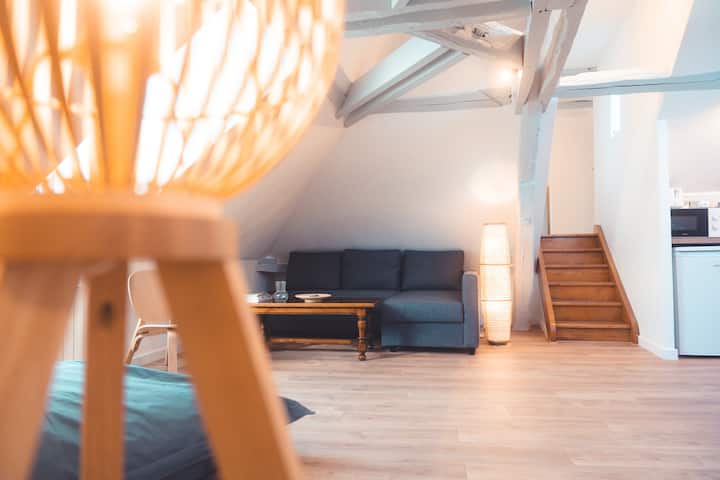 Le Nid D’aigle - Spacieux Logement Sous Les Toits - Tours