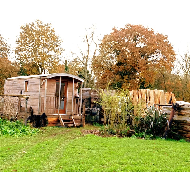 Roulotte Western - Pléneuf-Val-André
