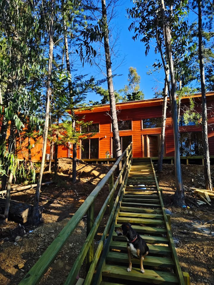 Bosque Marino, Capital Del Surf - Pichilemu