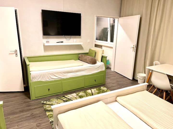 Swt 101 München Zentrum - München