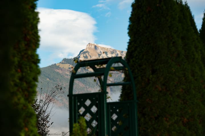 Beautiful Vegetarian Lake View Apartment. - Mondsee