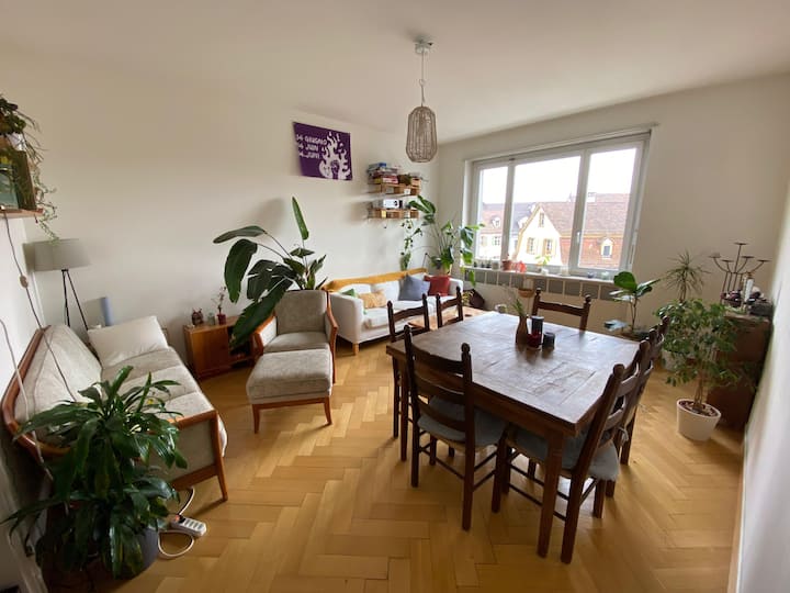 Lovely Flat In Basel City Centre - Basilea
