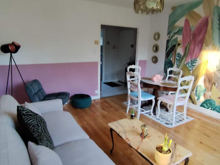 Le Tropical 2 Chambres - Romans-sur-Isère