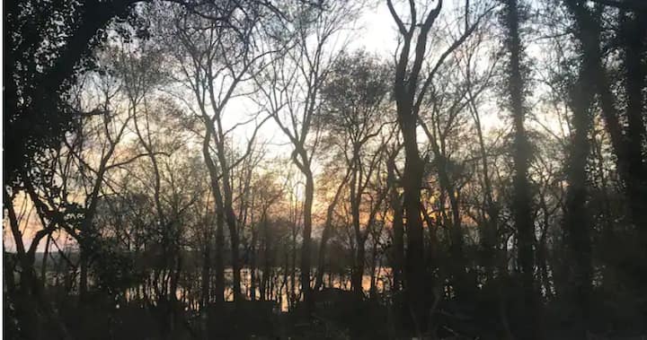 Scenic Winter Water Views - Alexandria, VA