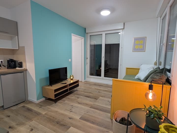 Appartement Moderne Avec Terrasse  Panoramique - Strasbourg