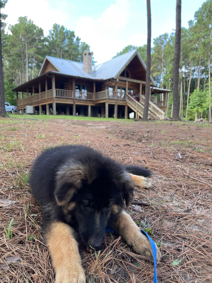 Relaxing Lakefront Log Cabin - Blue Hole, Zavalla