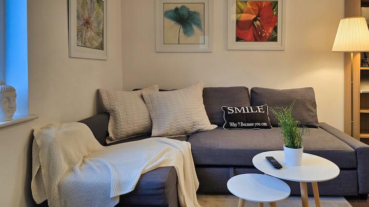 Cosy And Private Loft, Just Off Lively Camden St - Dublin