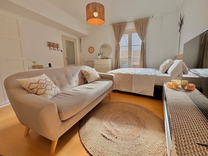 Suite Premium Con Baño Privado - Logroño
