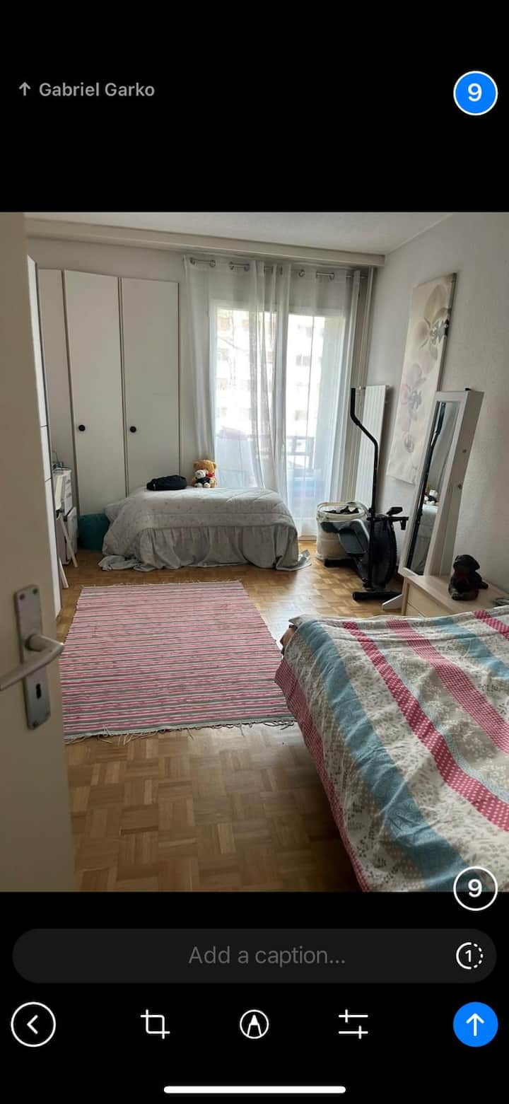 Nice Big Quiet Room In The Center Of Geneva - Geneva