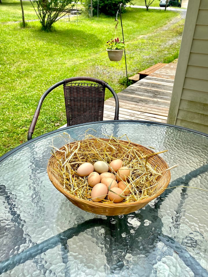 Best Of Both Worlds, Apartment For 4 Guests - Ithaca, NY