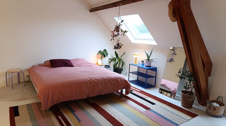 Kamer In Woning - Aalst