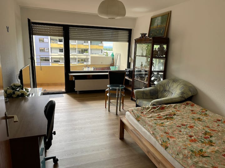 Heidelberg Apartment,close City Center/university - 하이델베르크