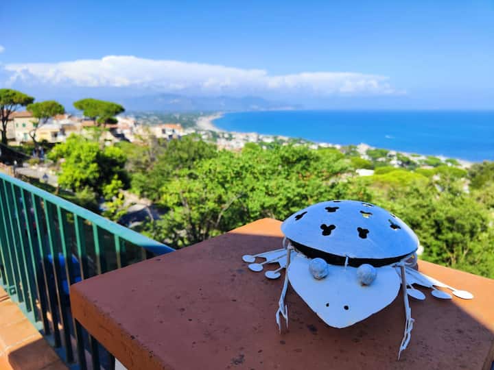 Pino Marino - San Felice Circeo