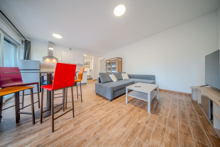 Très Bel Appartement Near Basel Parking Privé Wifi - Bartenheim