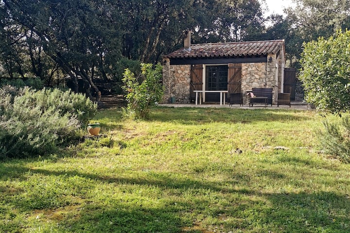 Maison Avec Piscine - Le Luc