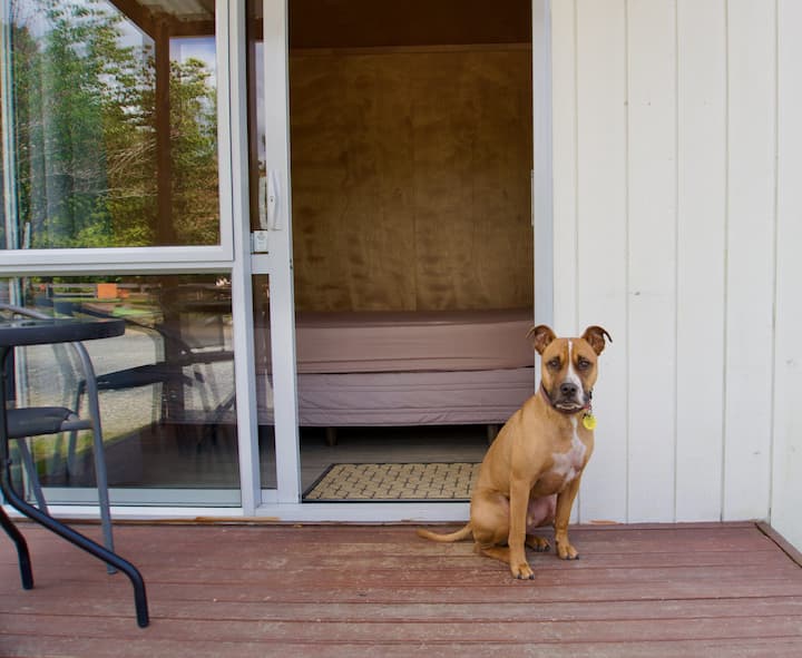Dog-friendly Cabin In Tahawai - Katikati