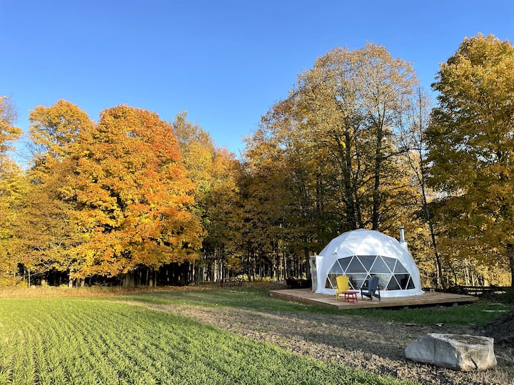 Sugar Bush Bubble - Belleville