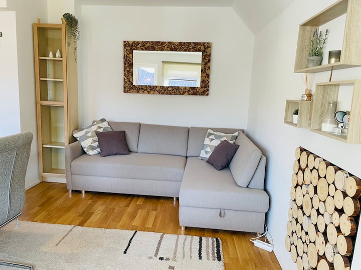 Apartment Zala - Kranjska Gora