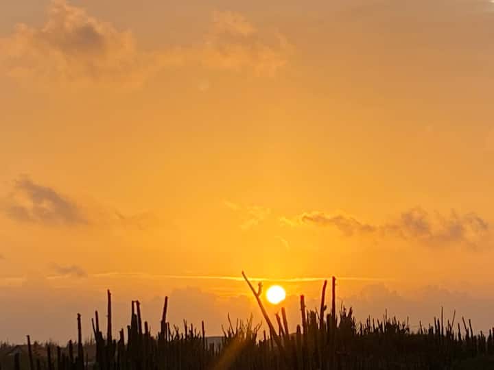 Cas Cacti — A Relaxing Oasis On Top Of Aruba - Aruba