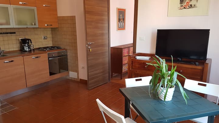 Appartamento Santa Marinella - Santa Marinella